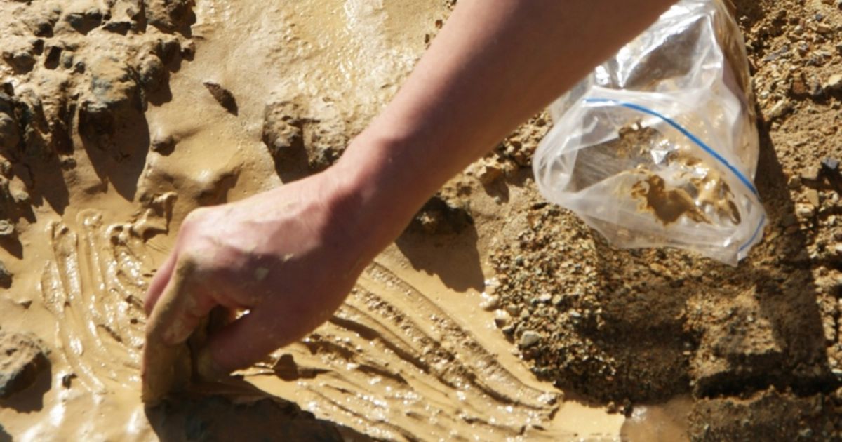 Environmental issues get form by ceramic art | Aalto University