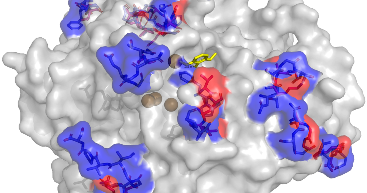 Enzyme Technology | Aalto University
