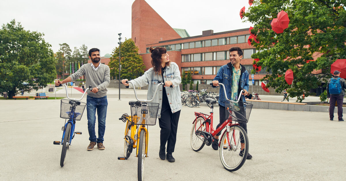Aalto developing a multidisciplinary Bachelor's programme – students to ...