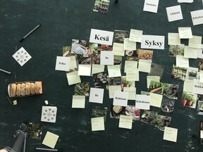 Public defence, Visual Communication Design, MA Elena Comincioli ...