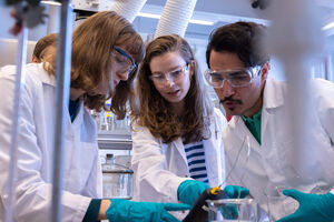 Teaching Assistant as a Learning Instructor (2 ECTS), pedagogical ...