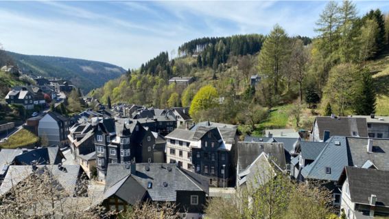 Enhancing liveability in small shrinking and peripheral towns - the ...