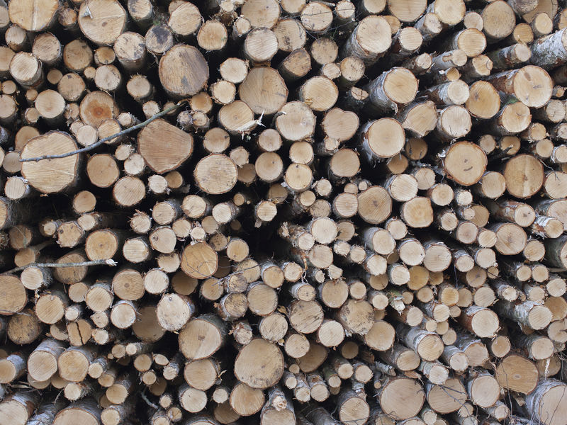 Wood Material Technology | Aalto University